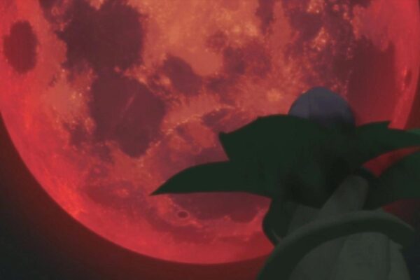What is the Divine Tree in Naruto, and how does it operate in the ...